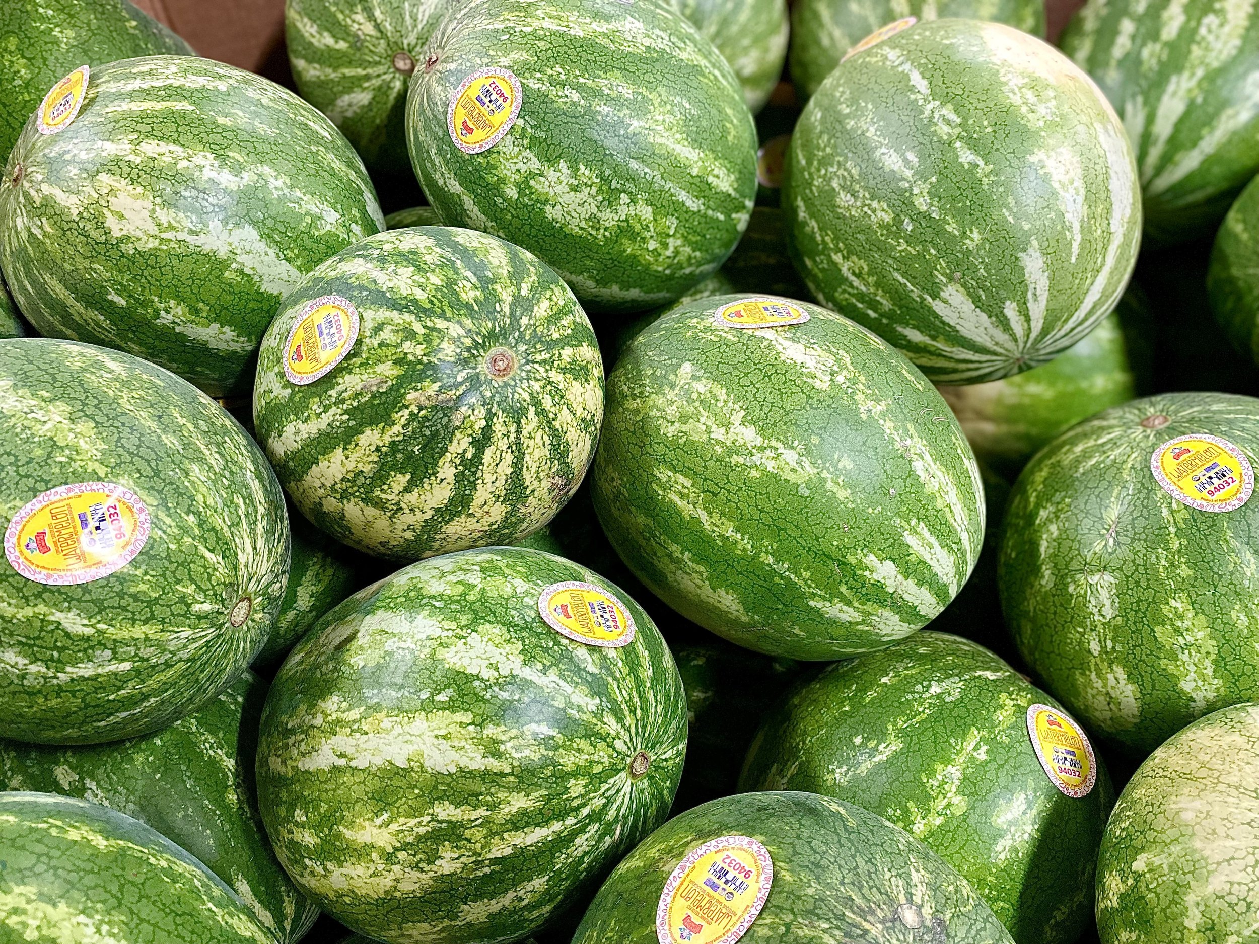 Hot Shots - May 5, 2023 — Discovery Organics