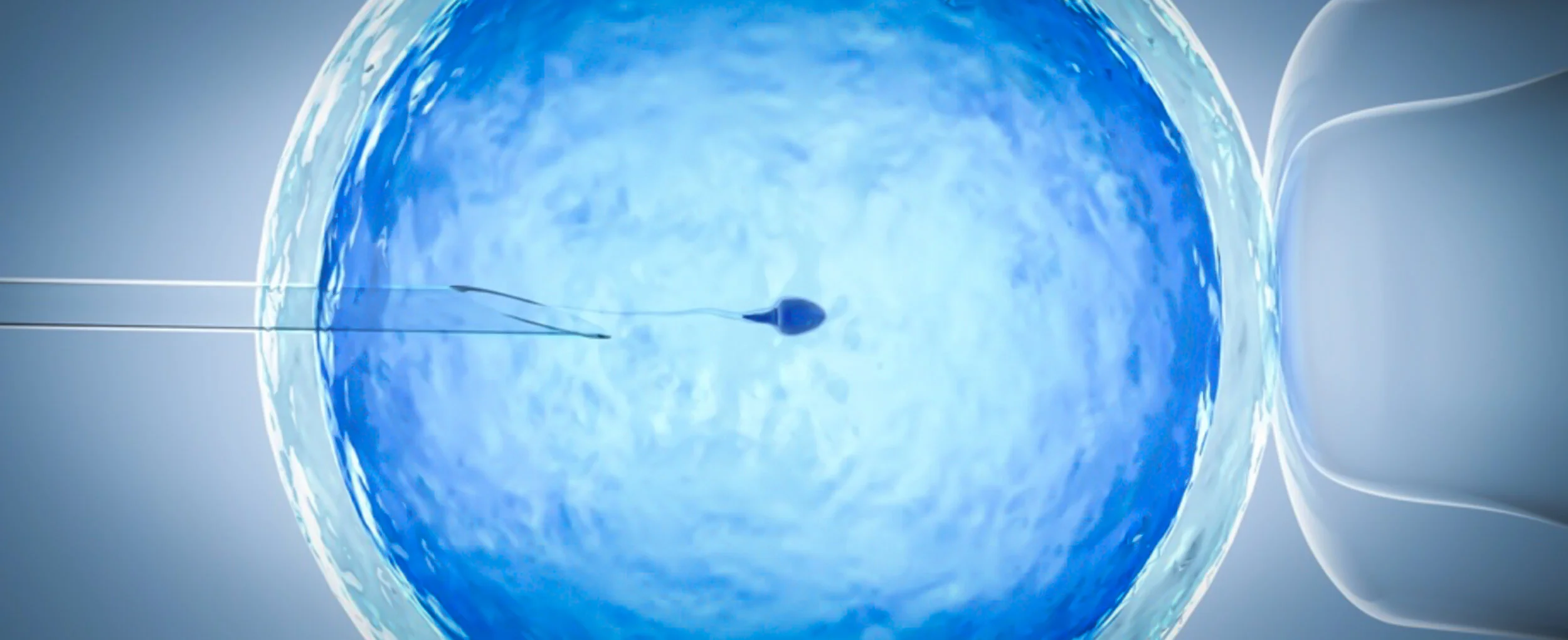 Find a Clinic — The Fertility Partners