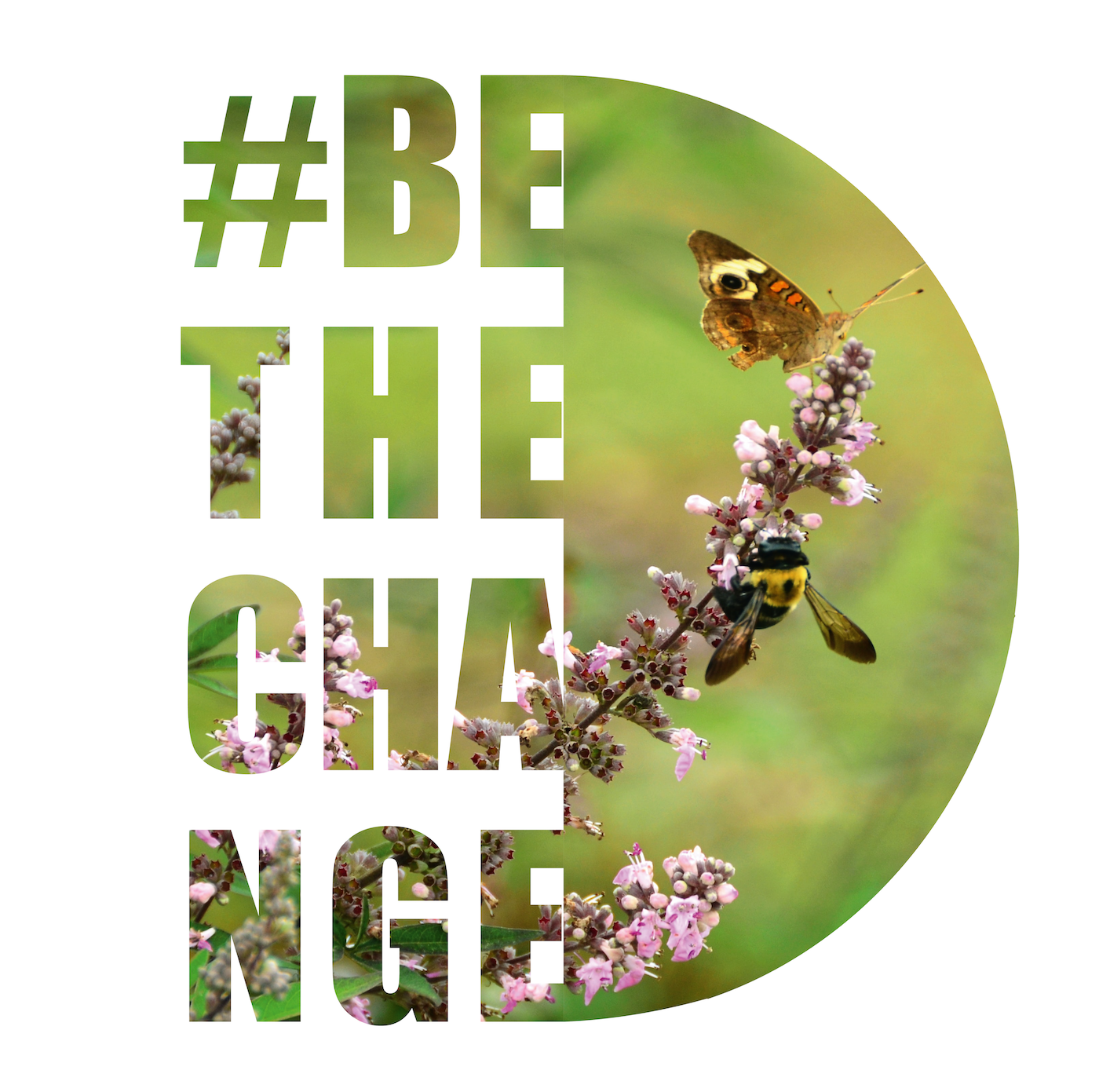 Home — Be the Change with Christine Dimmick