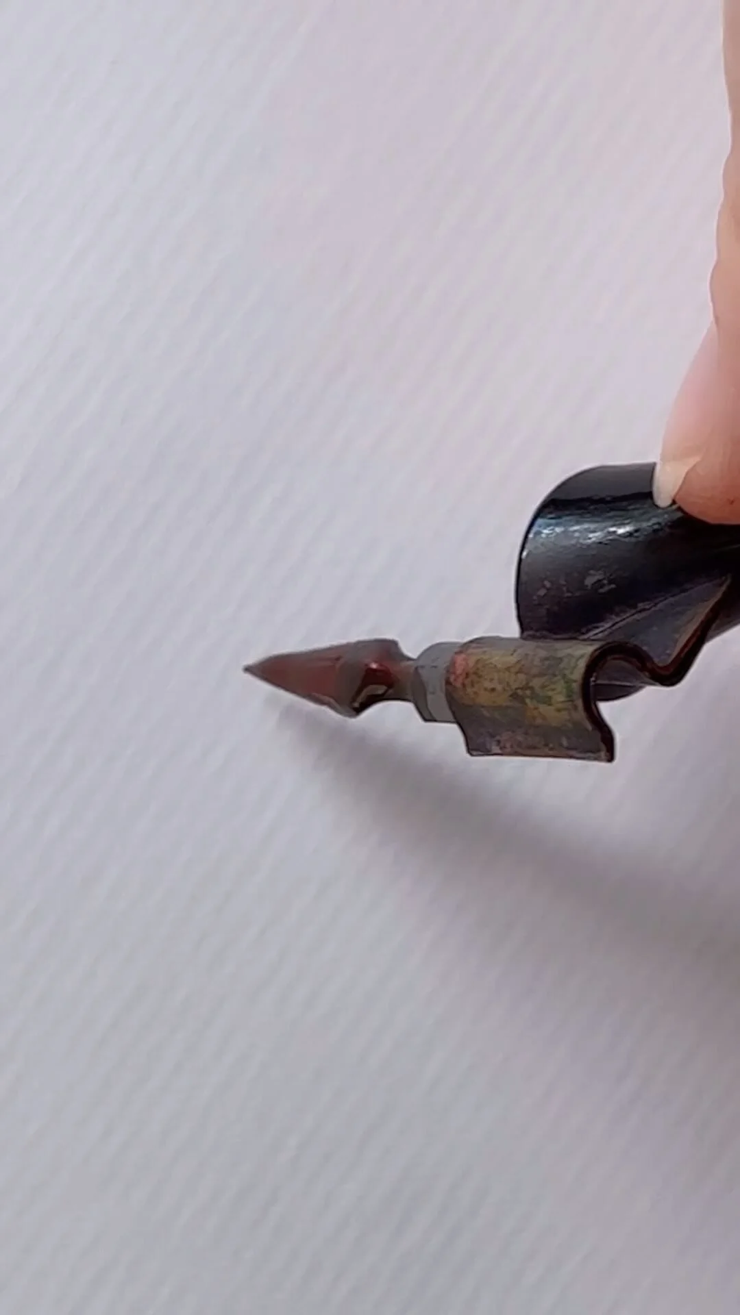 Stephanie Fishwick Calligraphy & Illustration