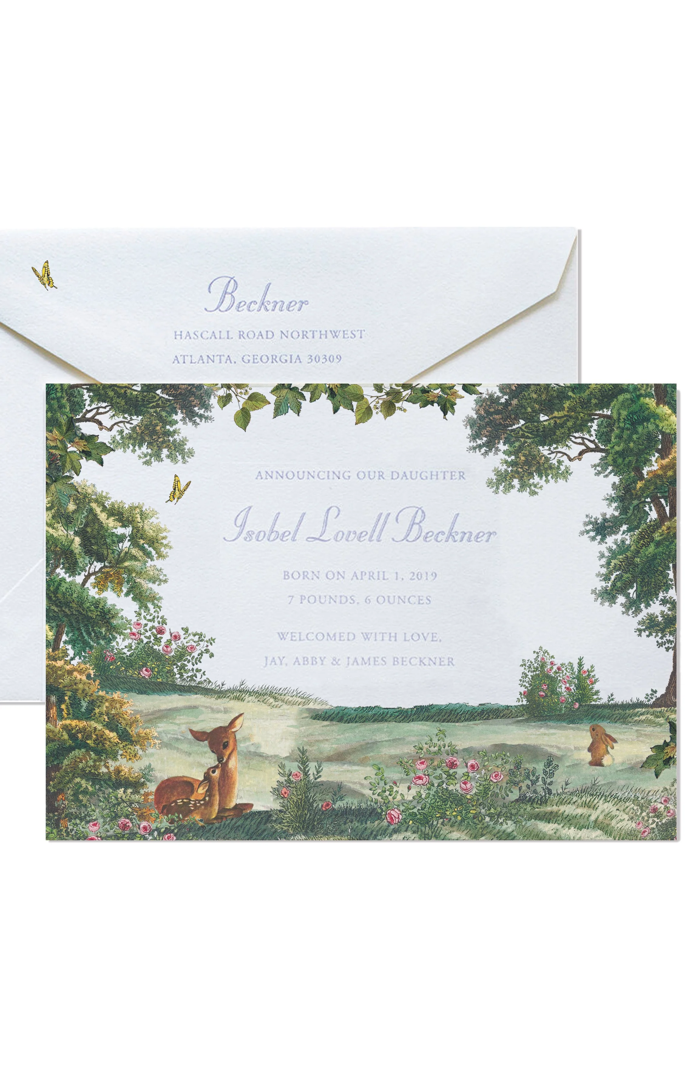 Tropical Party Pack — Stephanie Fishwick Calligraphy & Illustration