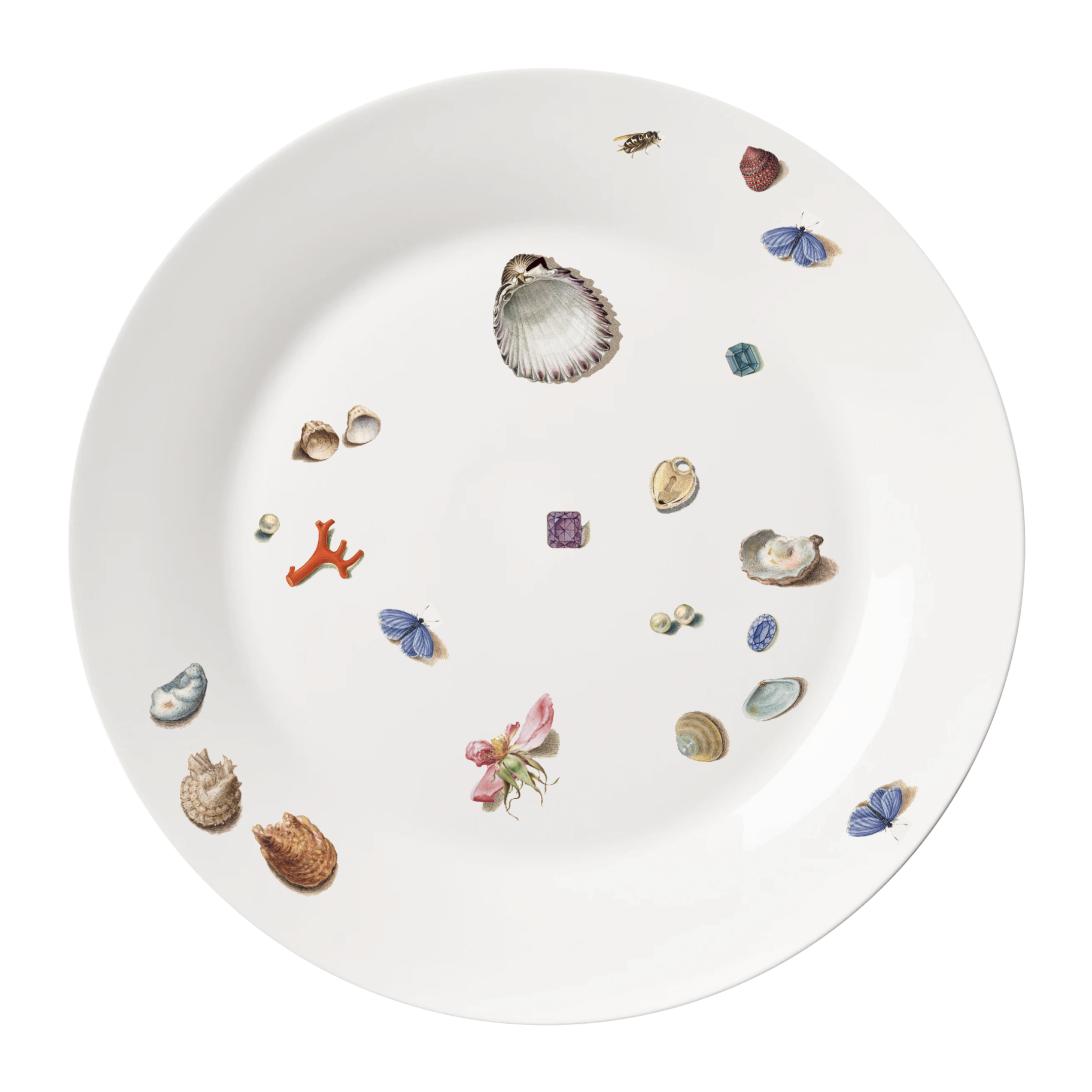 Stephanie Fishwick Calligraphy & Illustration