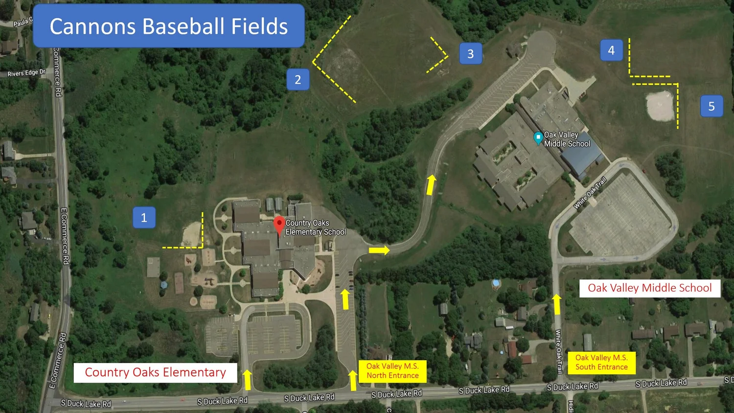 Contact — Cannons Baseball