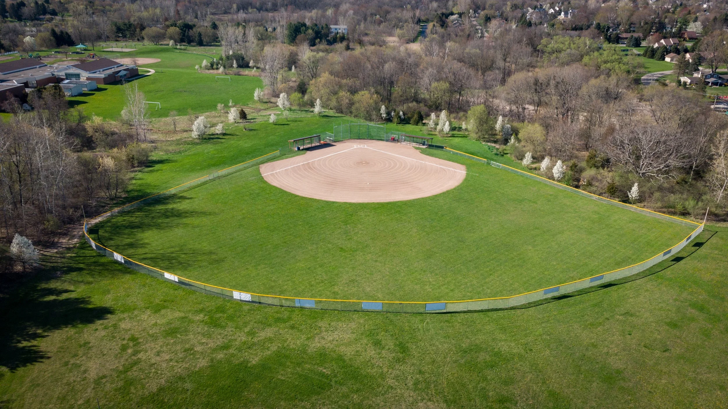 Cannons Baseball
