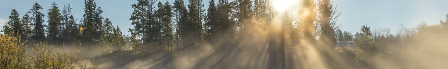 Psychic Medium Readings