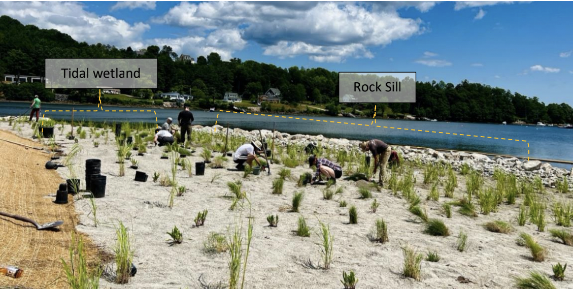 Nature-Based Solutions for Coastal Resilience: The Mahone Bay Living ...