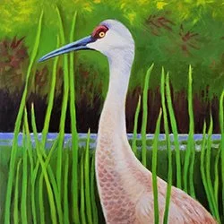Gallery Store — Talbot Gallery 2118