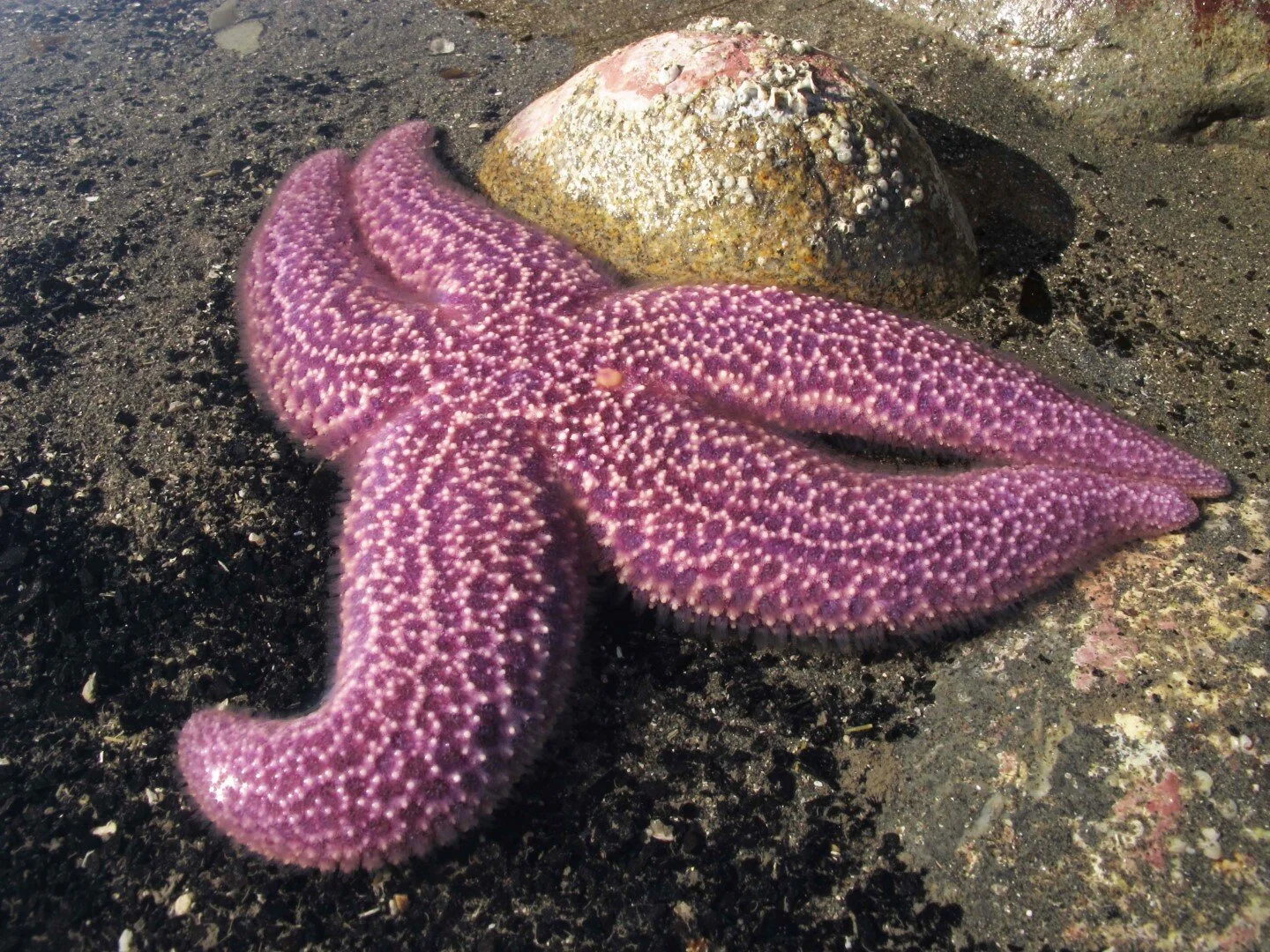 Christina Whiting — Talbot Gallery 2118