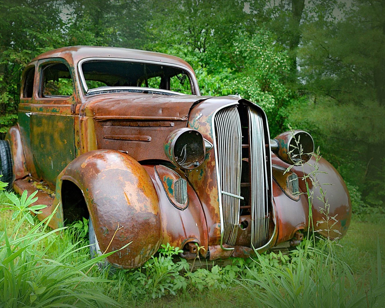 Phyllis Stokes — Talbot Gallery 2118