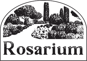 How to Politely Decline in Business: Tips, Examples, & Strategies — Rosarium Collective