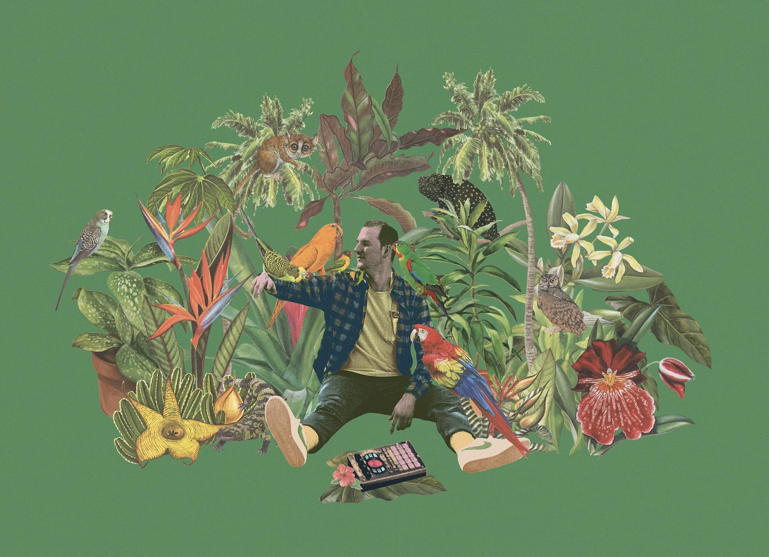 Monster Rally — outer/most