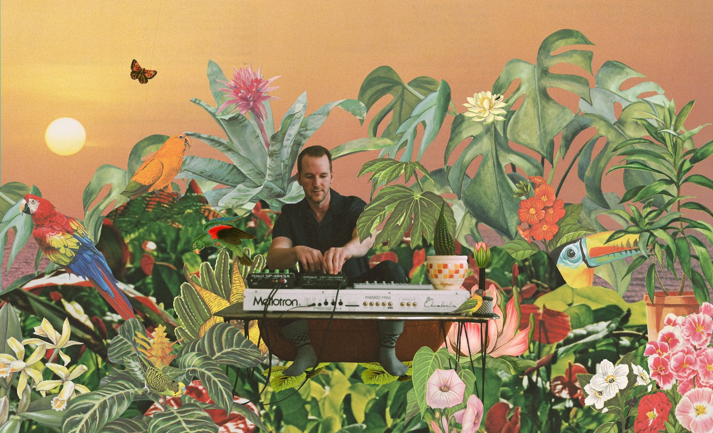 Monster Rally — outer/most