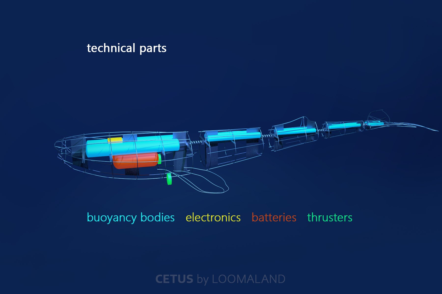 CETUS — L00MALAND