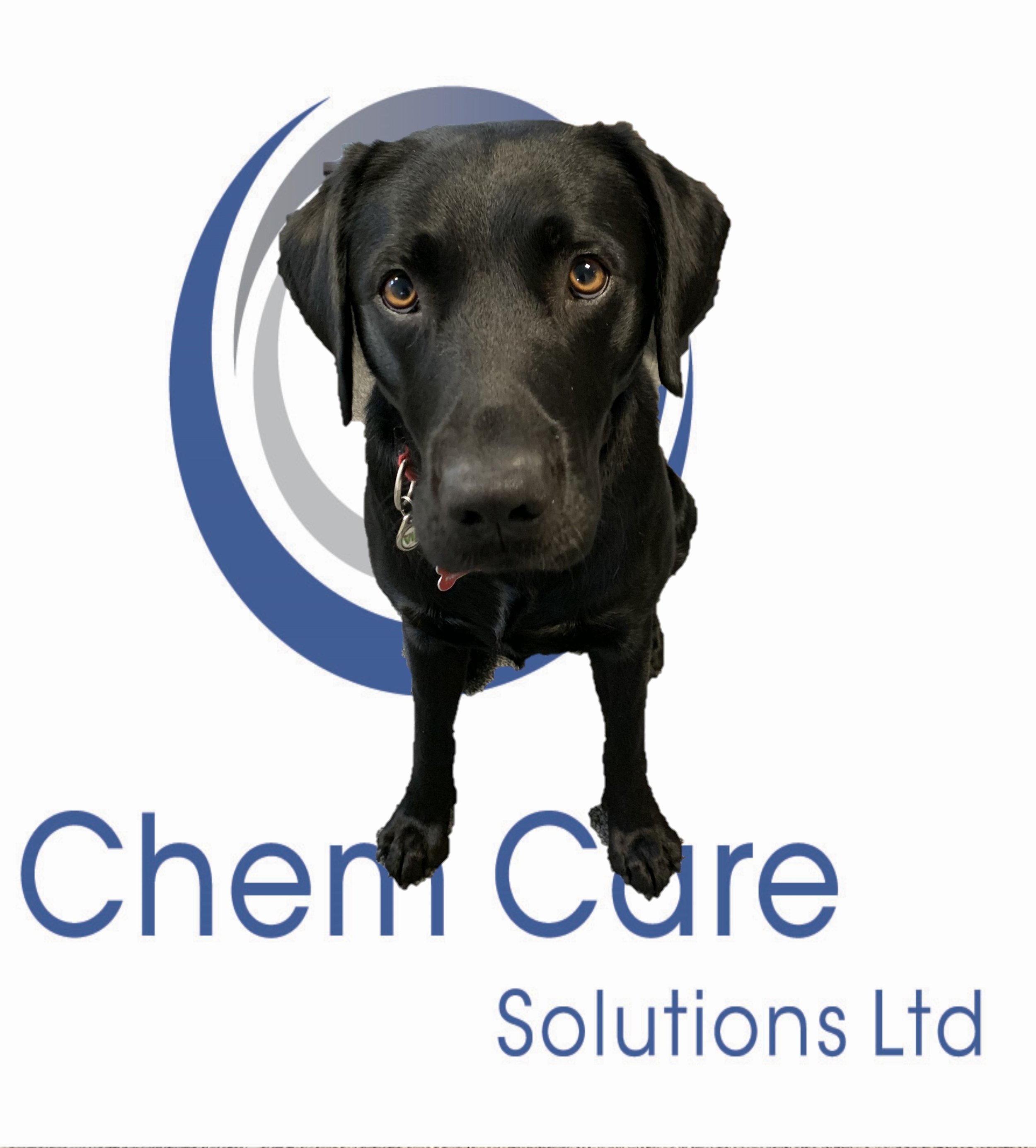 Office Team — Chem Care Solutions