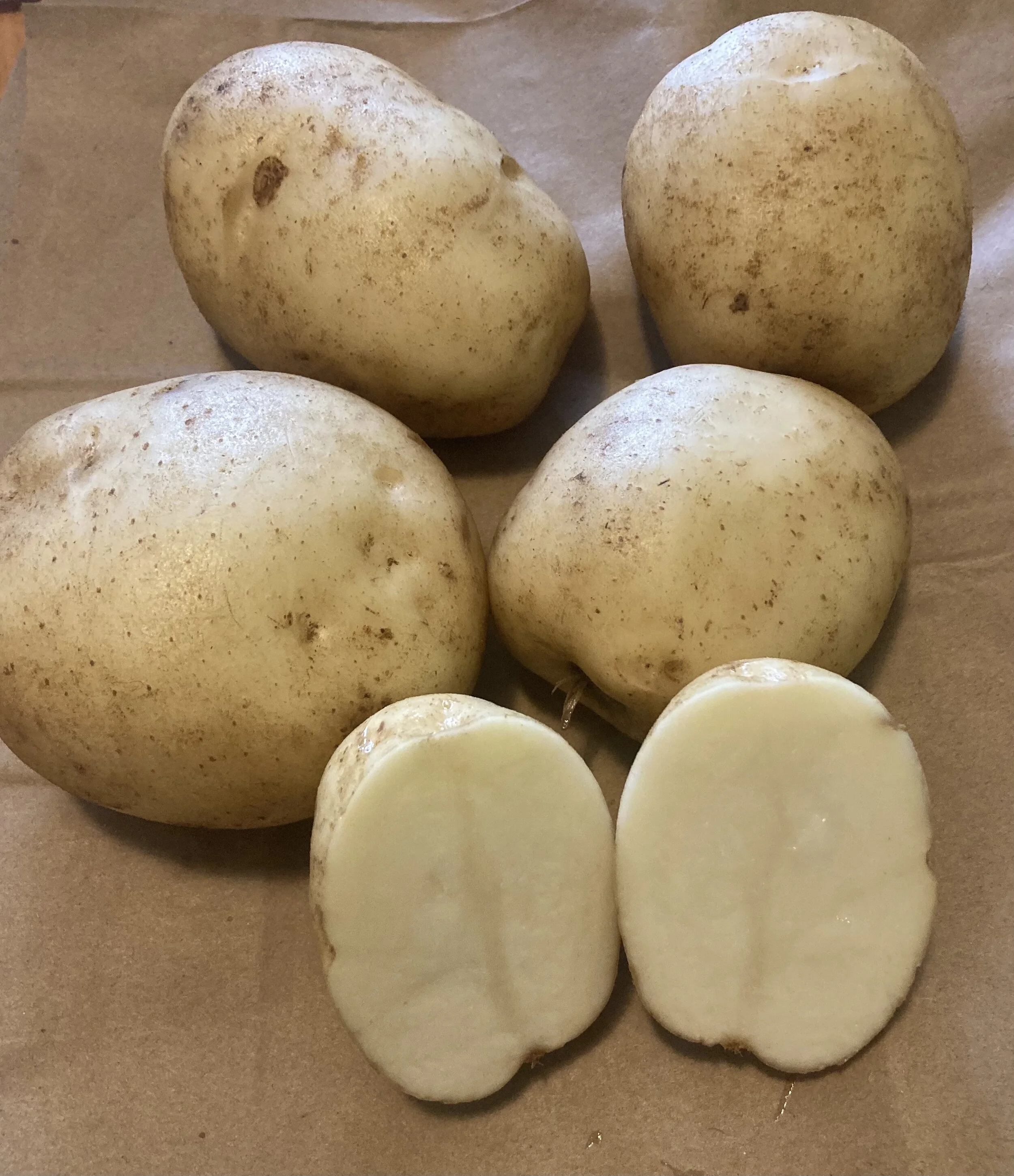Organic Maine Seed Potatoes — Nature's Circle Farm