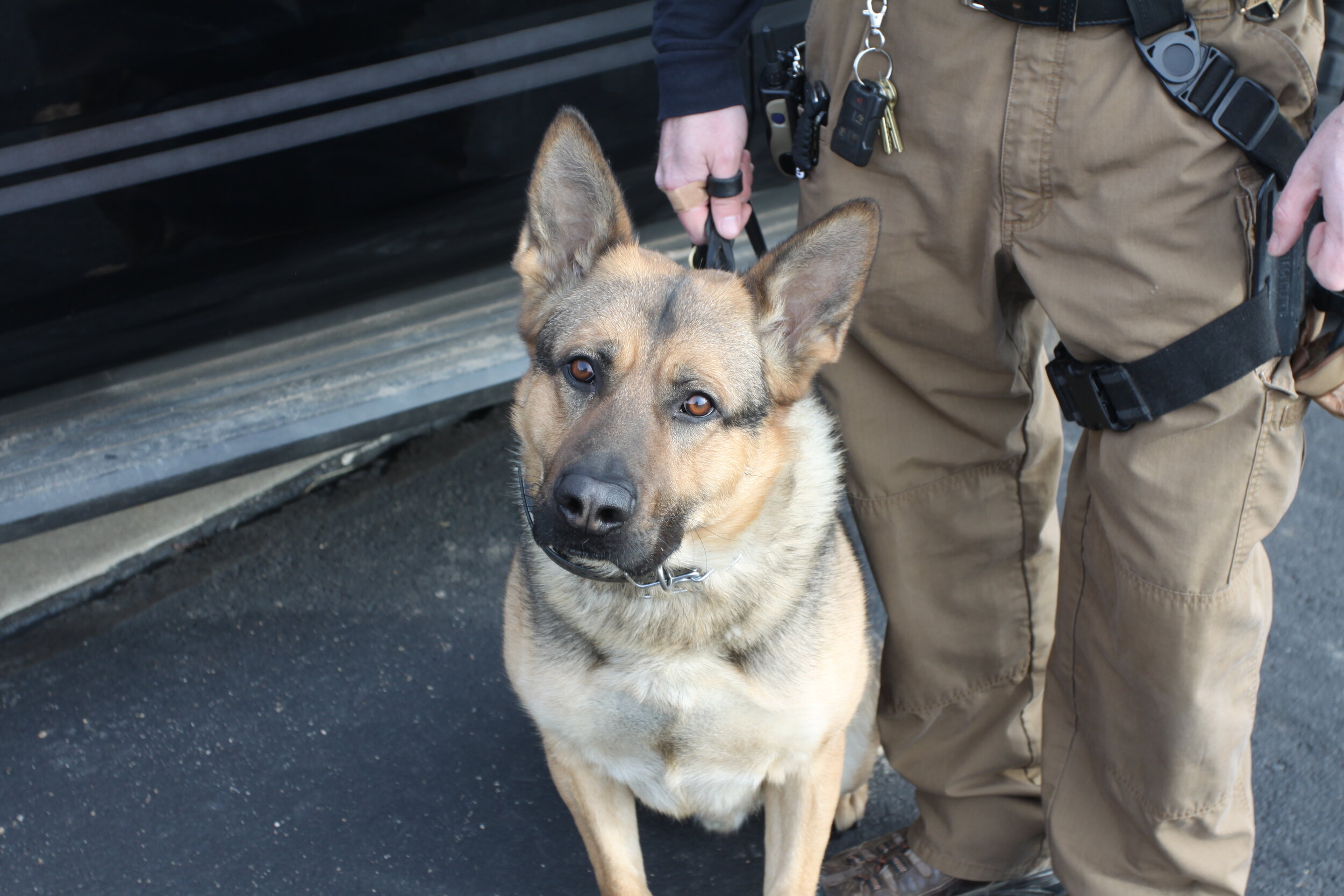 Our Career Path — Garfield County Sheriff Recruiting