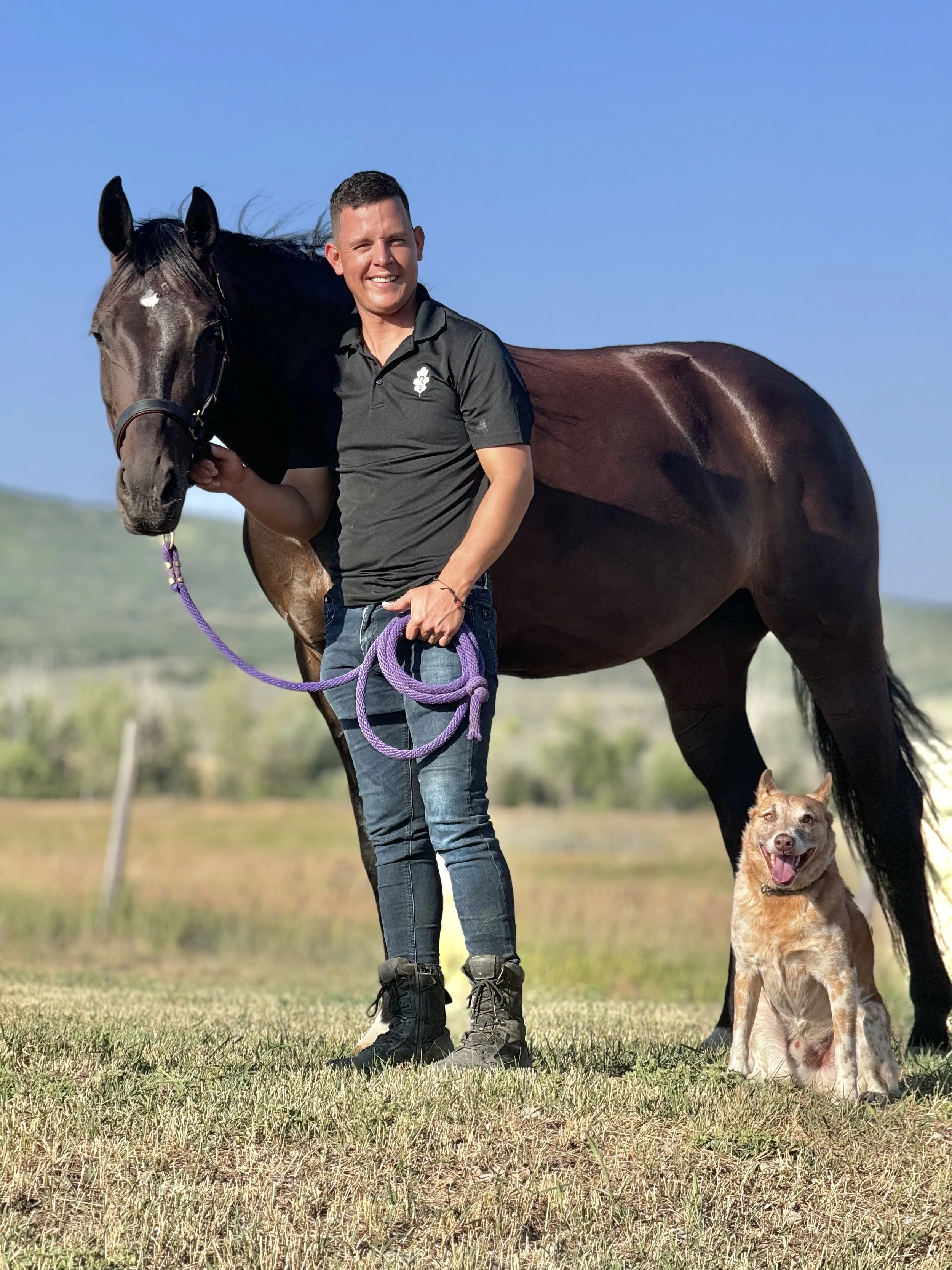 FEI Dressage Training Barn near Park City, UT — Revel Ranch