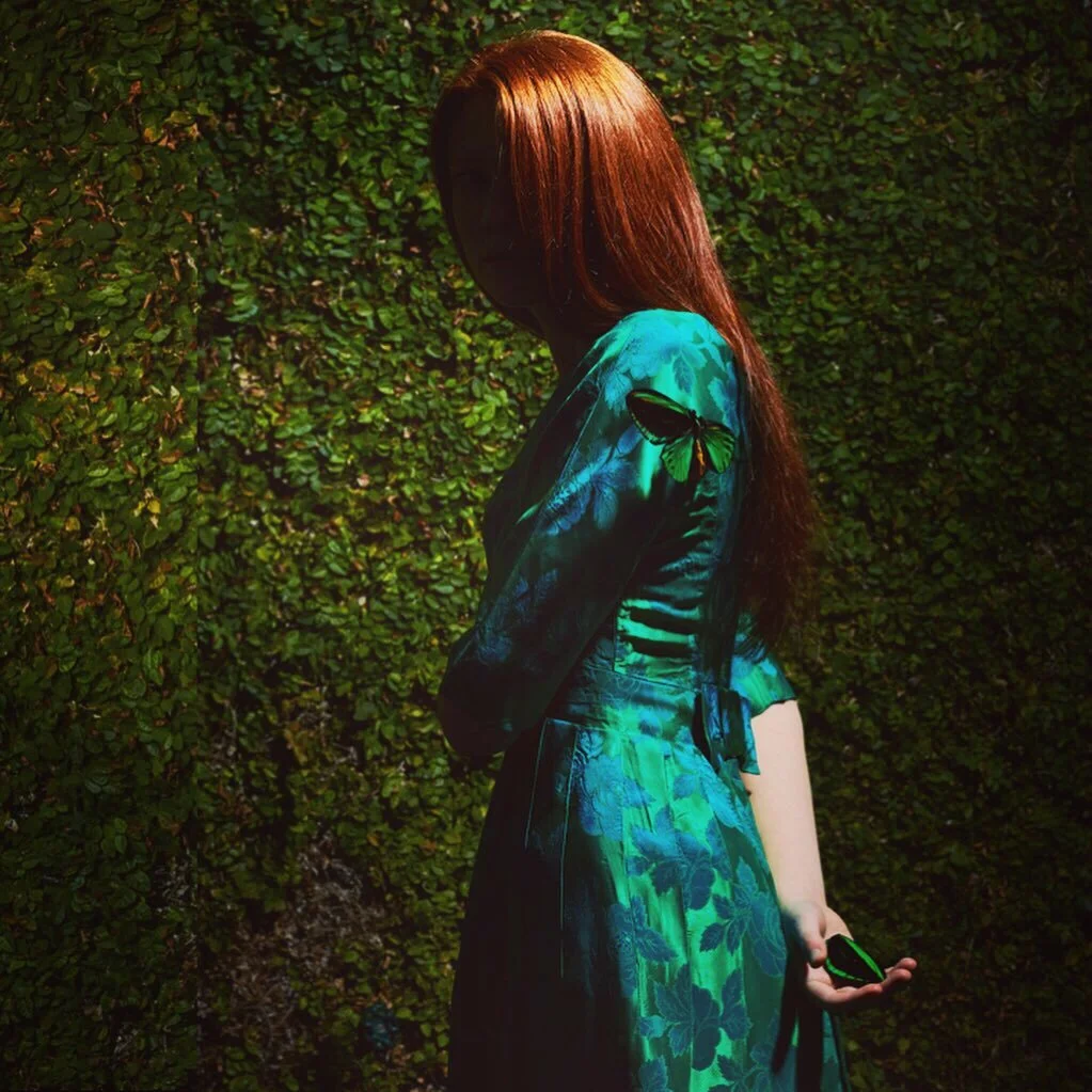 Art Portfolio — Jennifer Robison