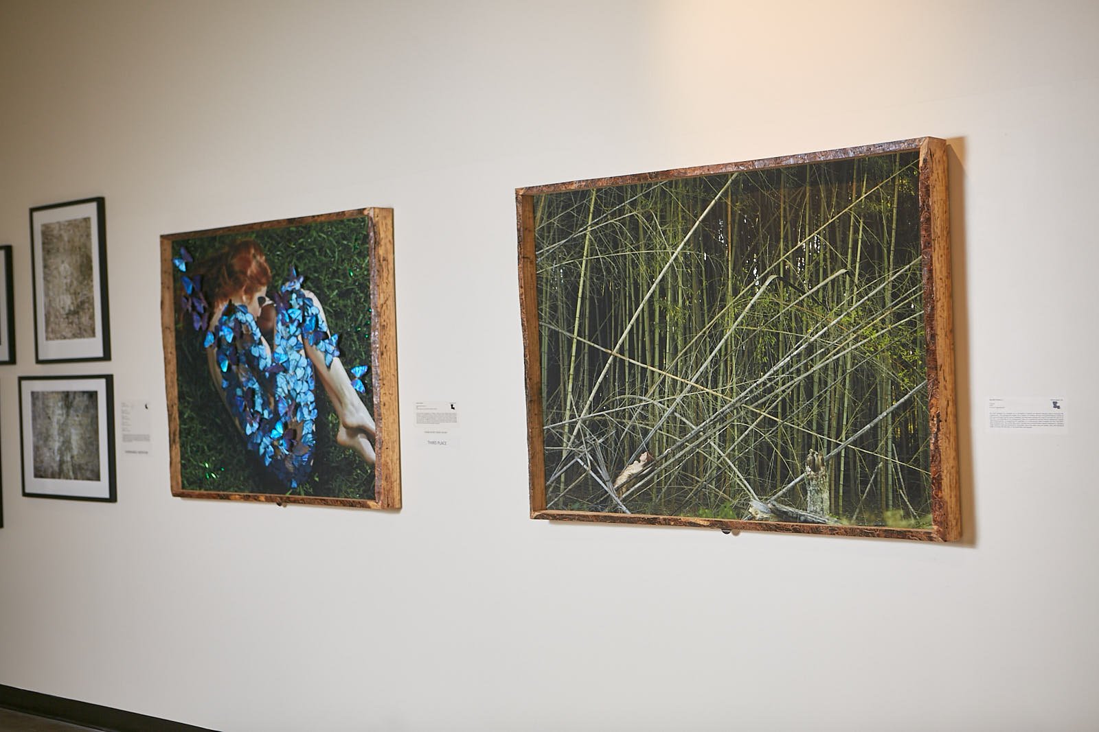 Exhibition Installations — Jennifer Robison