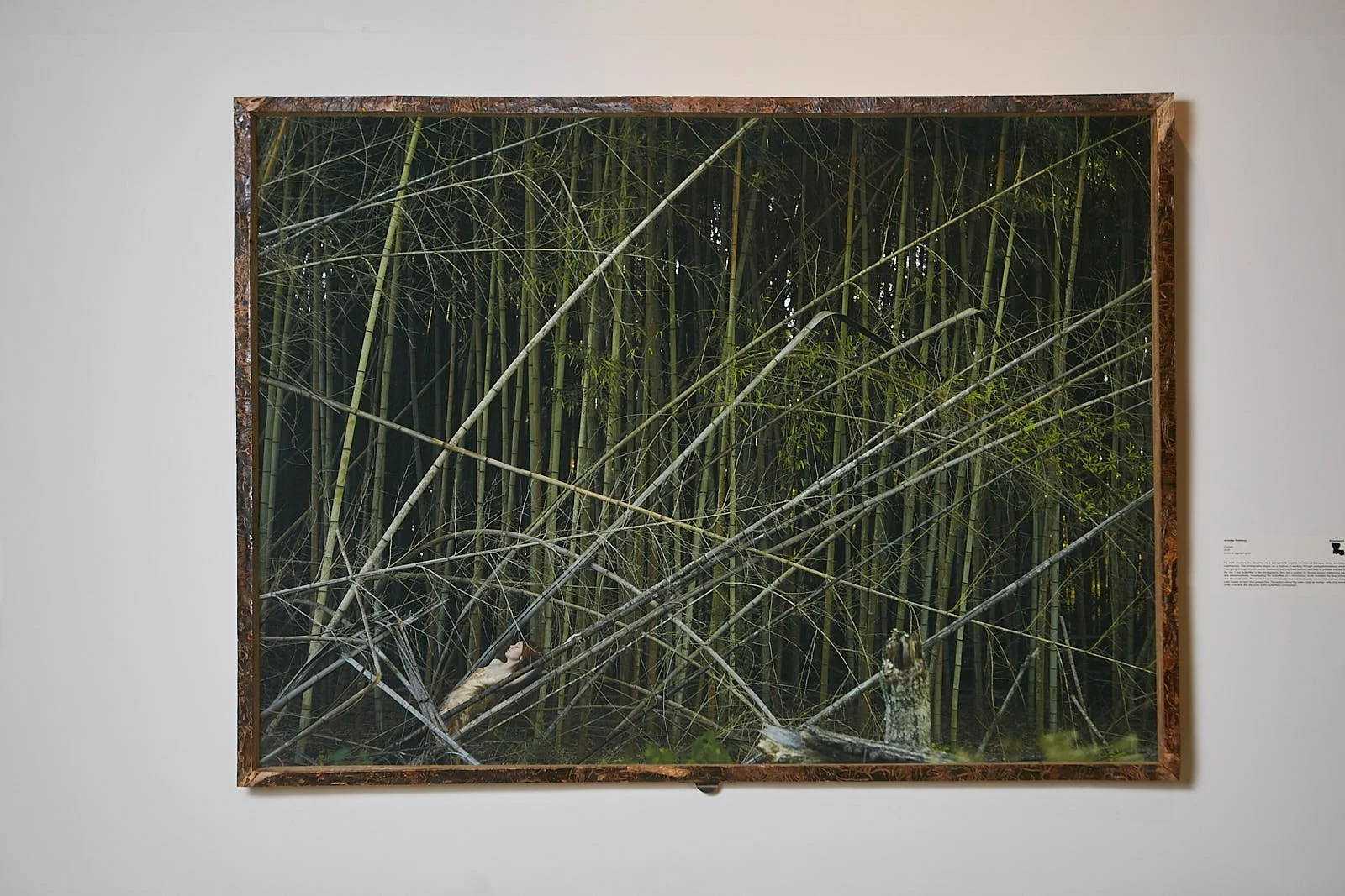 Exhibition Installations — Jennifer Robison