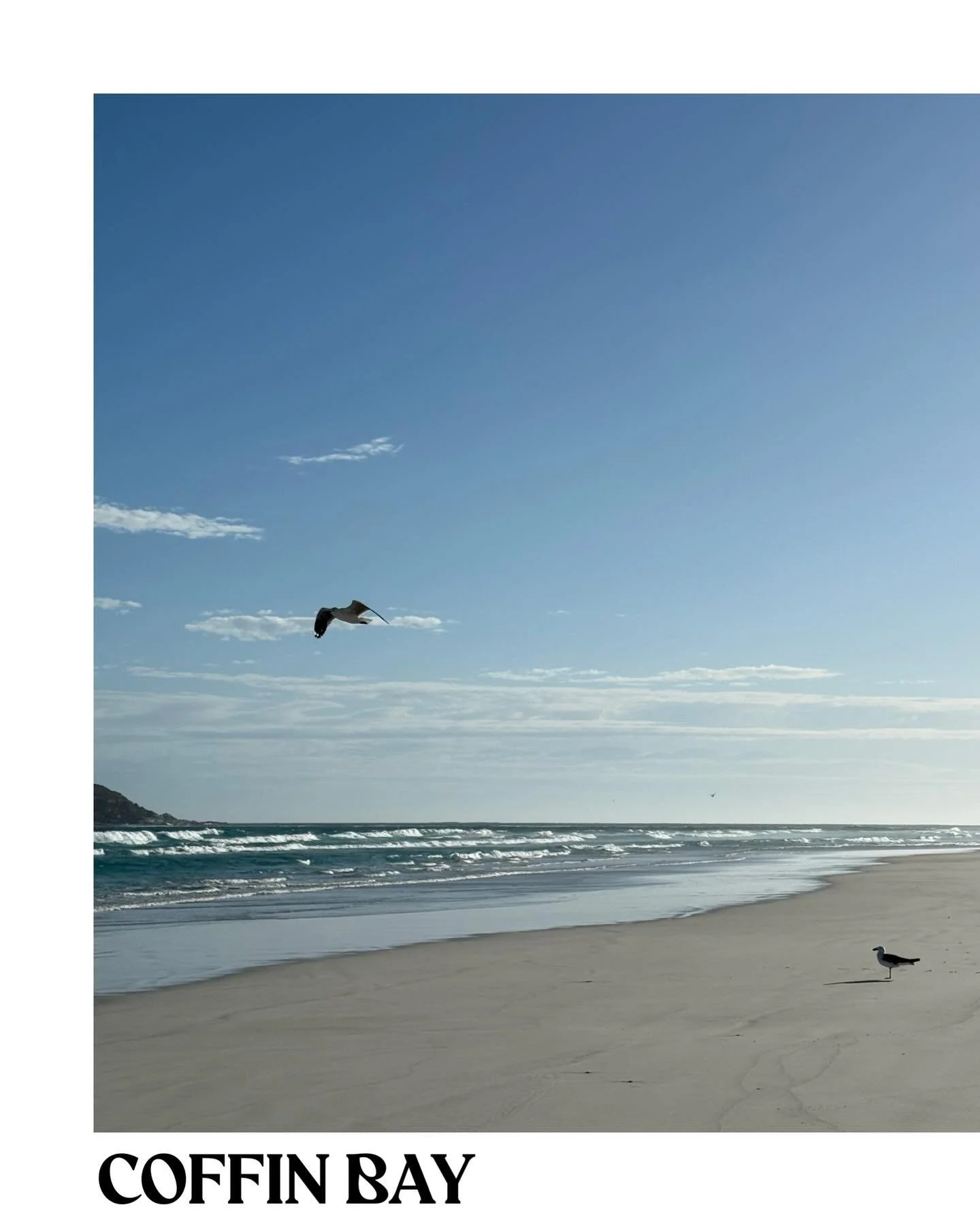 The Oyster Party Pavilion — Coffin Bay Oyster Farm Tours