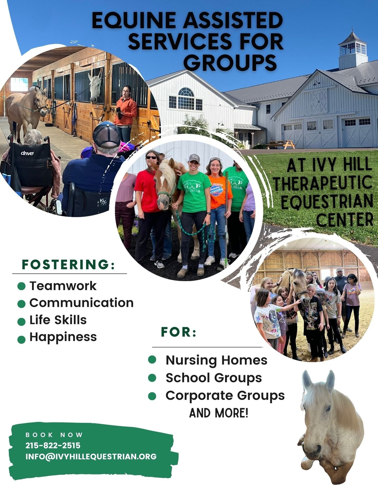 Equine Assisted Services for Groups — Ivy Hill Therapeutic Equestrian Center