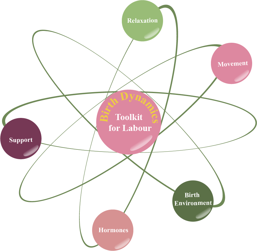 Parent Education Labour & Birth — The Coombe Hospital