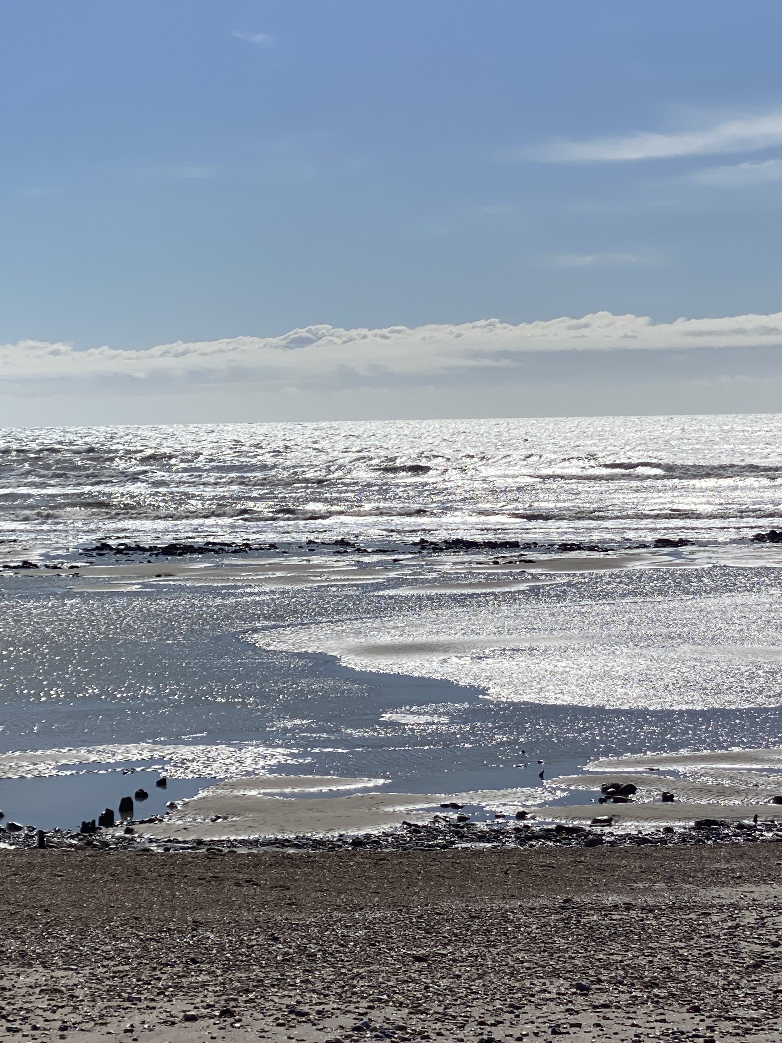 Short Courses — Chiswick Art School