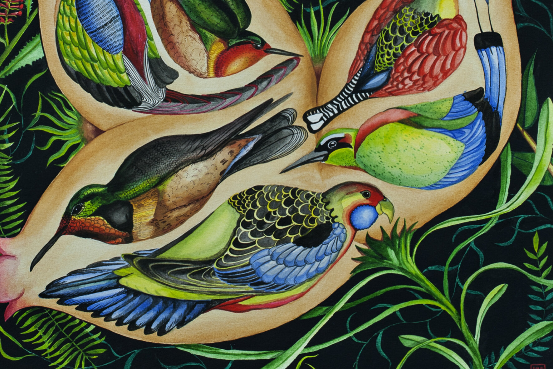 Singers of the Forest Original — DELFINA