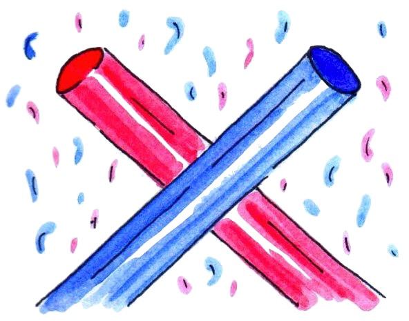 Curriculum — Relay Exchange