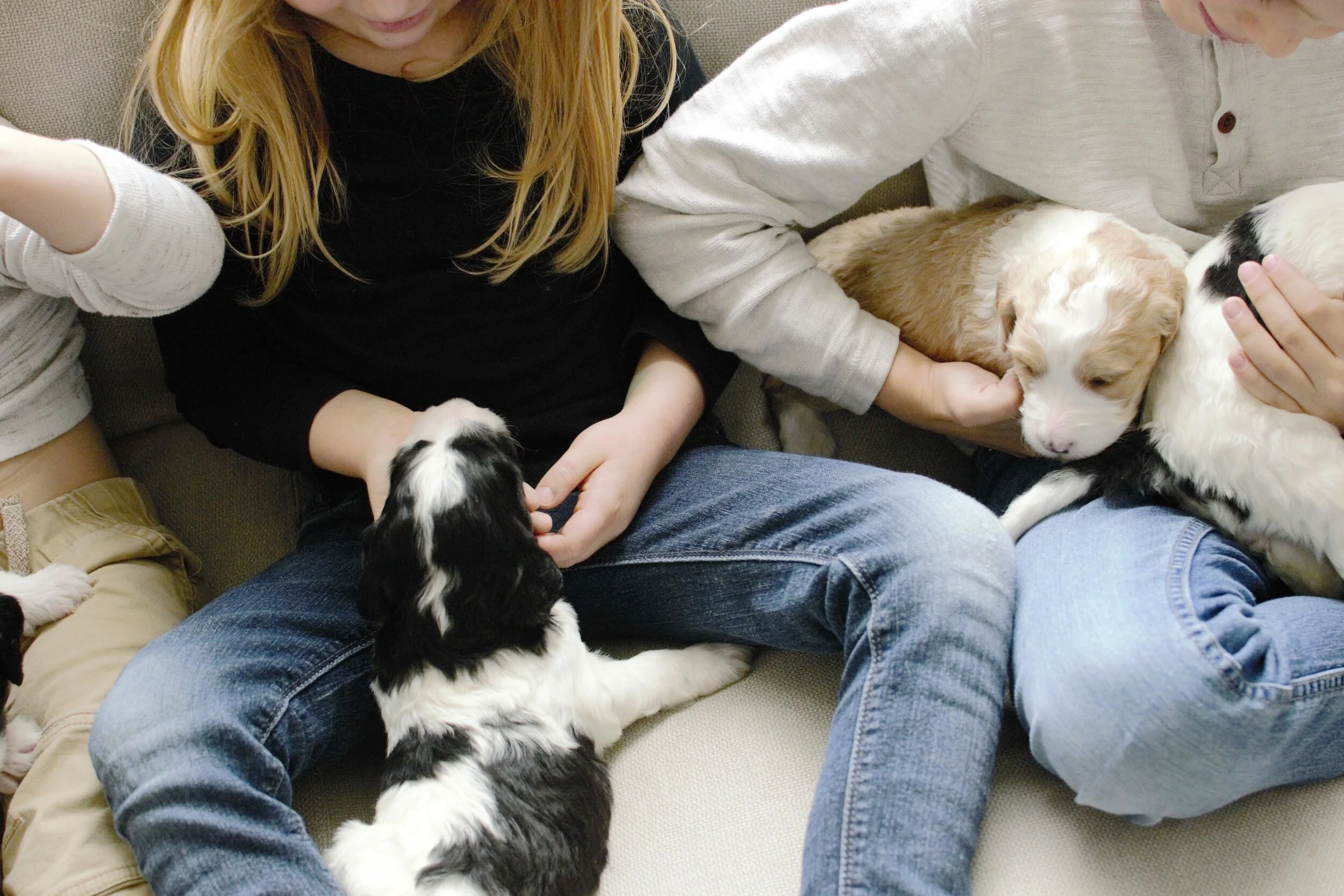 Colorado Family Doodles - Guardian Homes