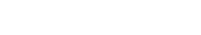 Precice Stryde System | LimbplastX Institute