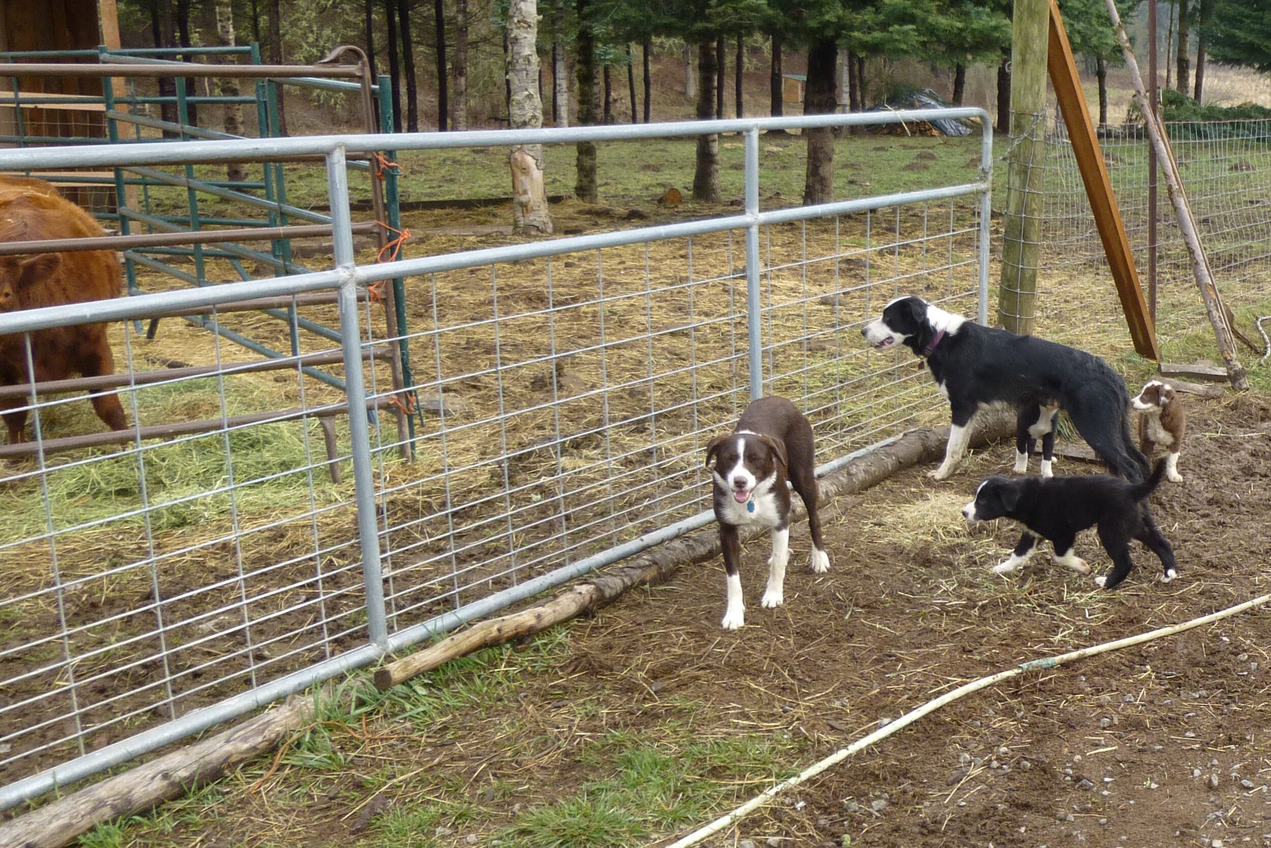 About — Highgate Farm Products