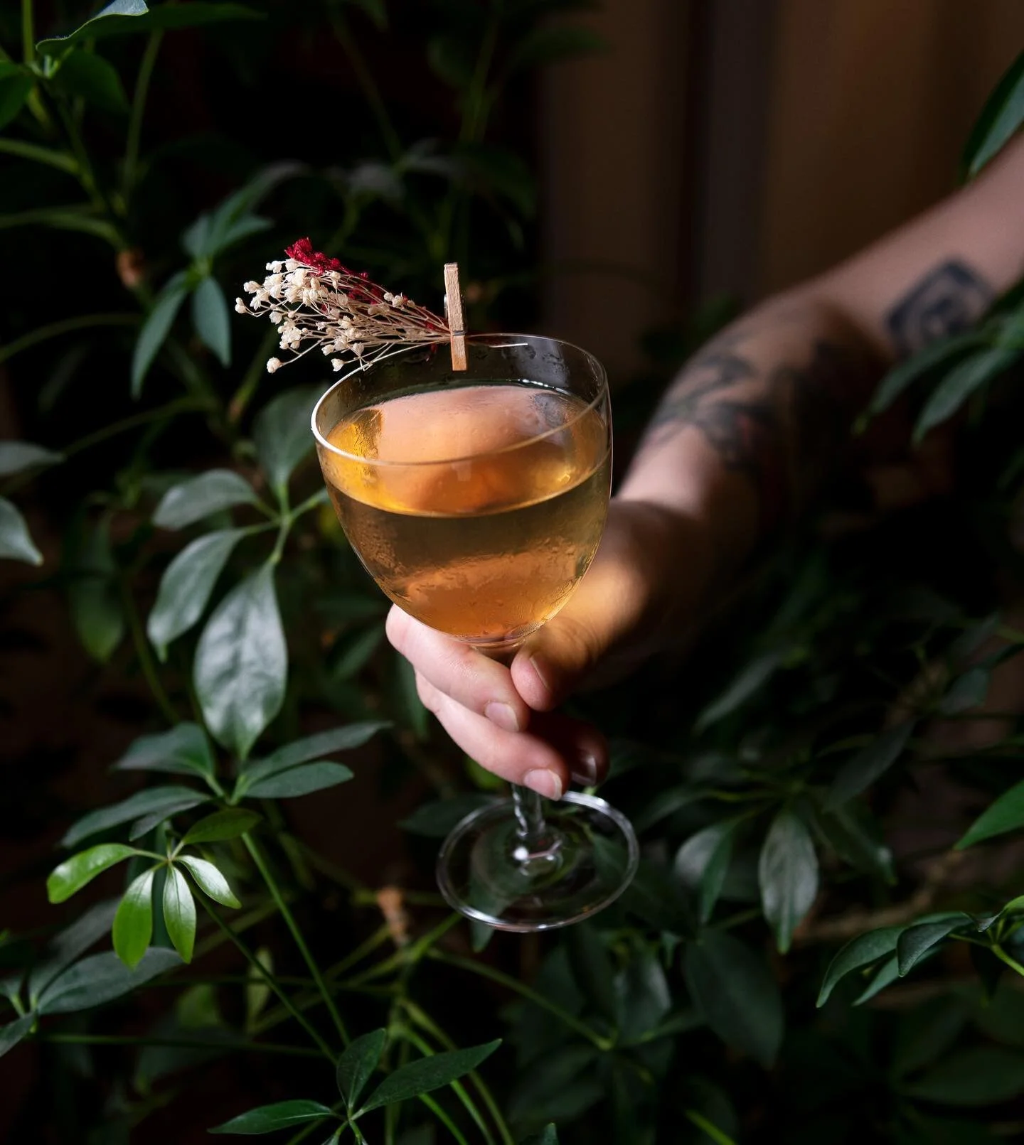Menu | Bar Botanico