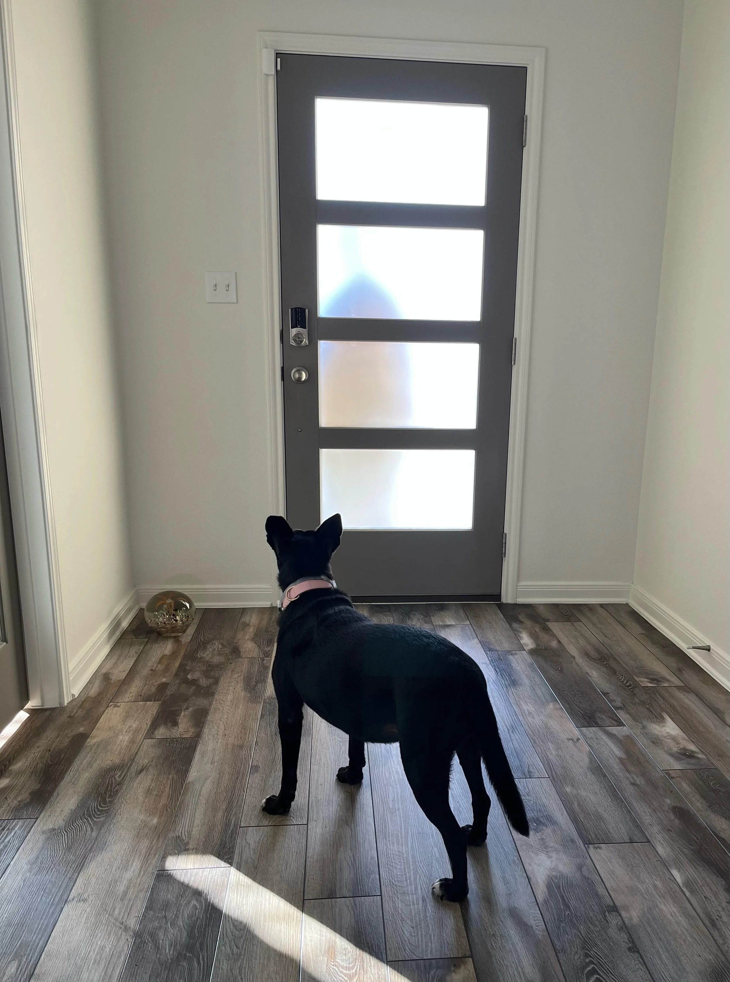 No. 11 - Spring 2023 — MudRoom