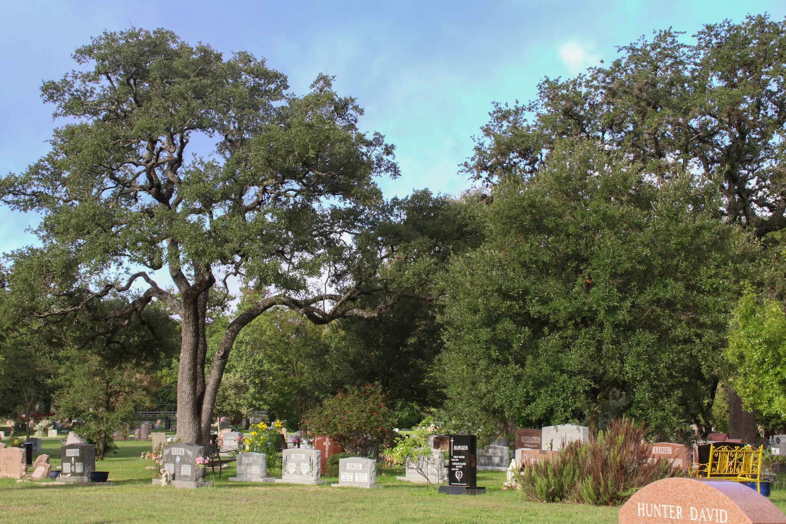 Austin Memorial Park Cemetery — SAVE AUSTIN'S CEMETERIES