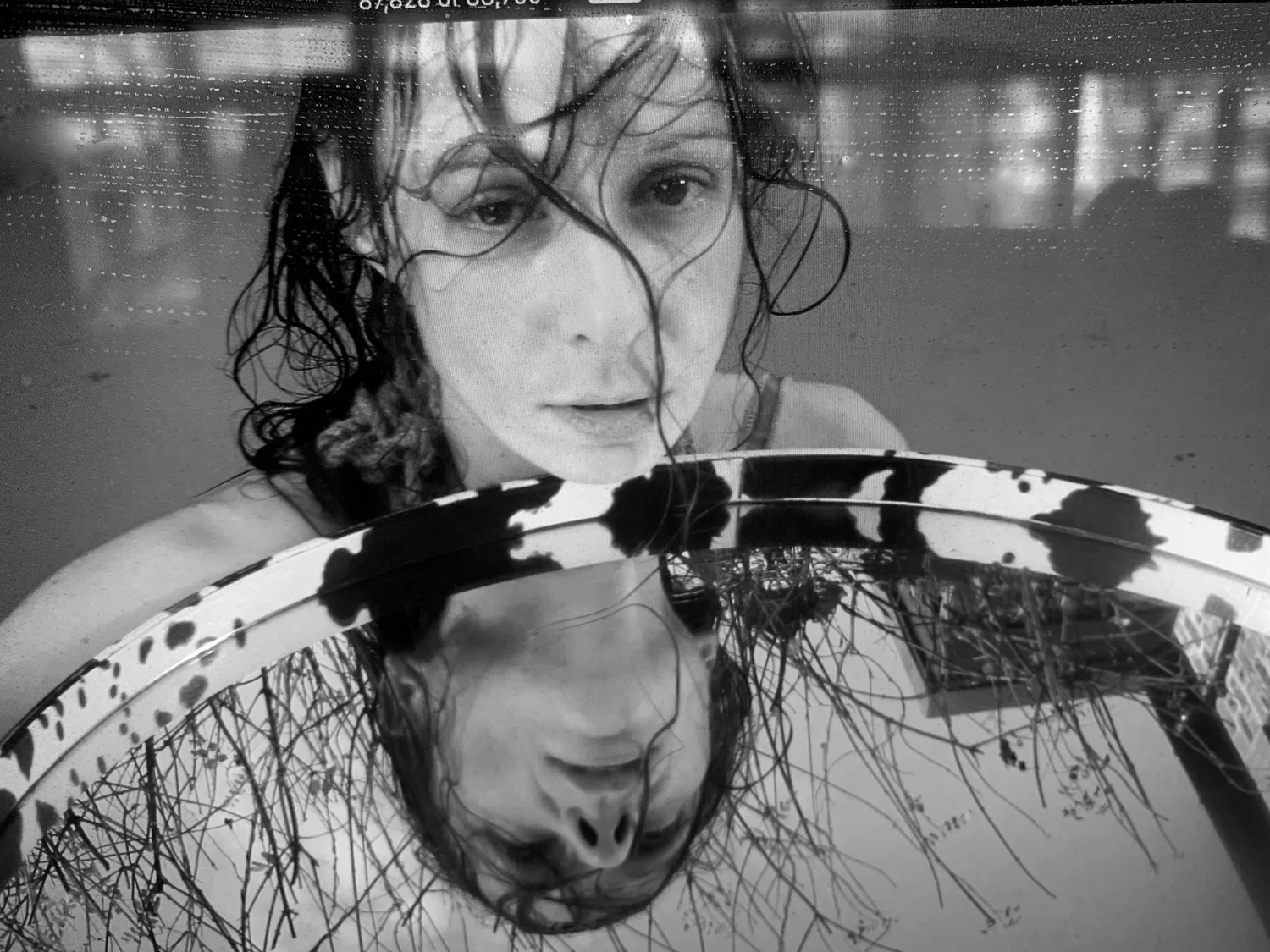 Ruth Goller - skylla — International Anthem | A Chicago-Born Recording ...