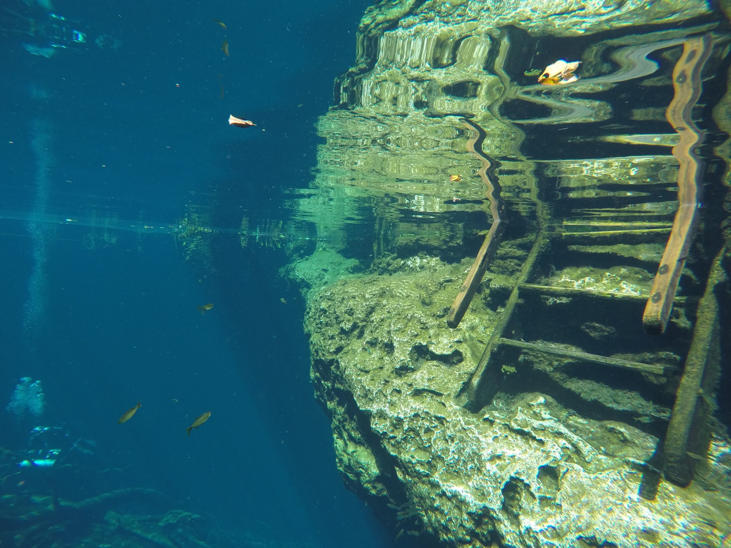 TDI Intoro Cave Diver course in okinawa — TAKE DIVE