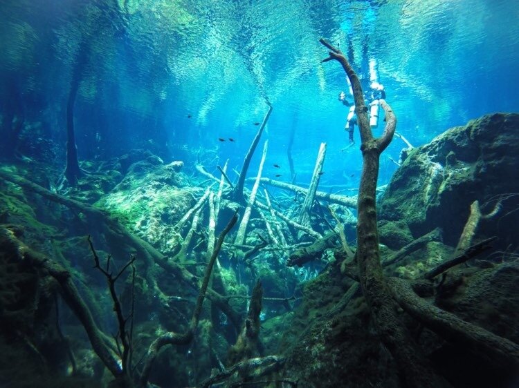 TDI Full Cave Diver course in okinawa — TAKE DIVE
