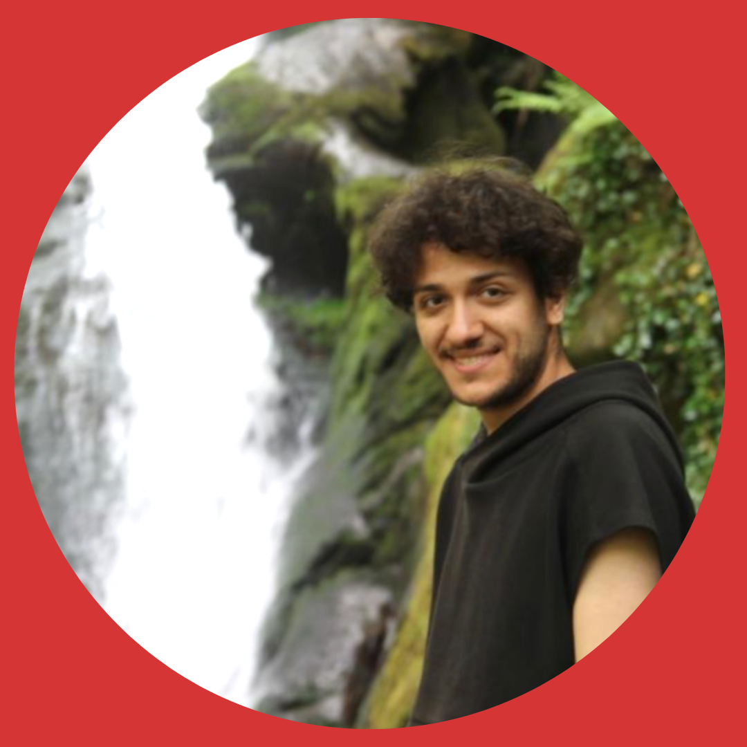 ASSOCIATE ARTISTS — Compass Collective