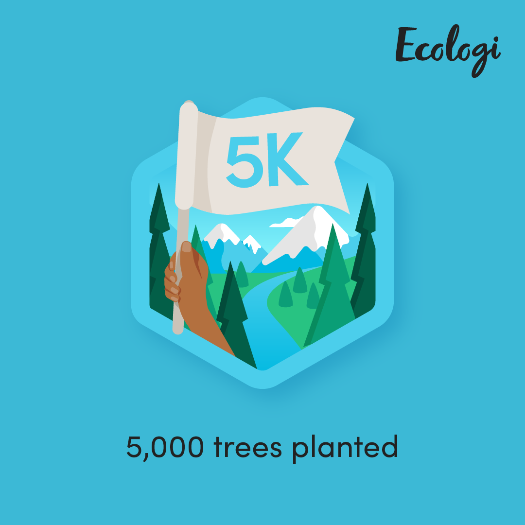 CELEBRATING 5000 TREES PLANTED! – Paper and Word