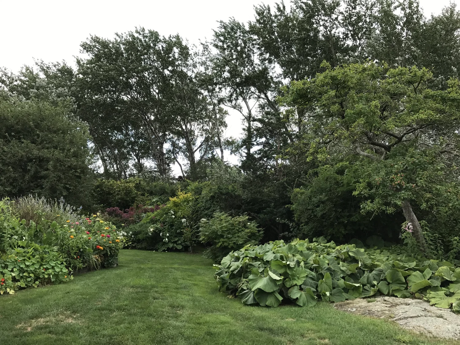 Salt Marsh — Newport Tree Conservancy