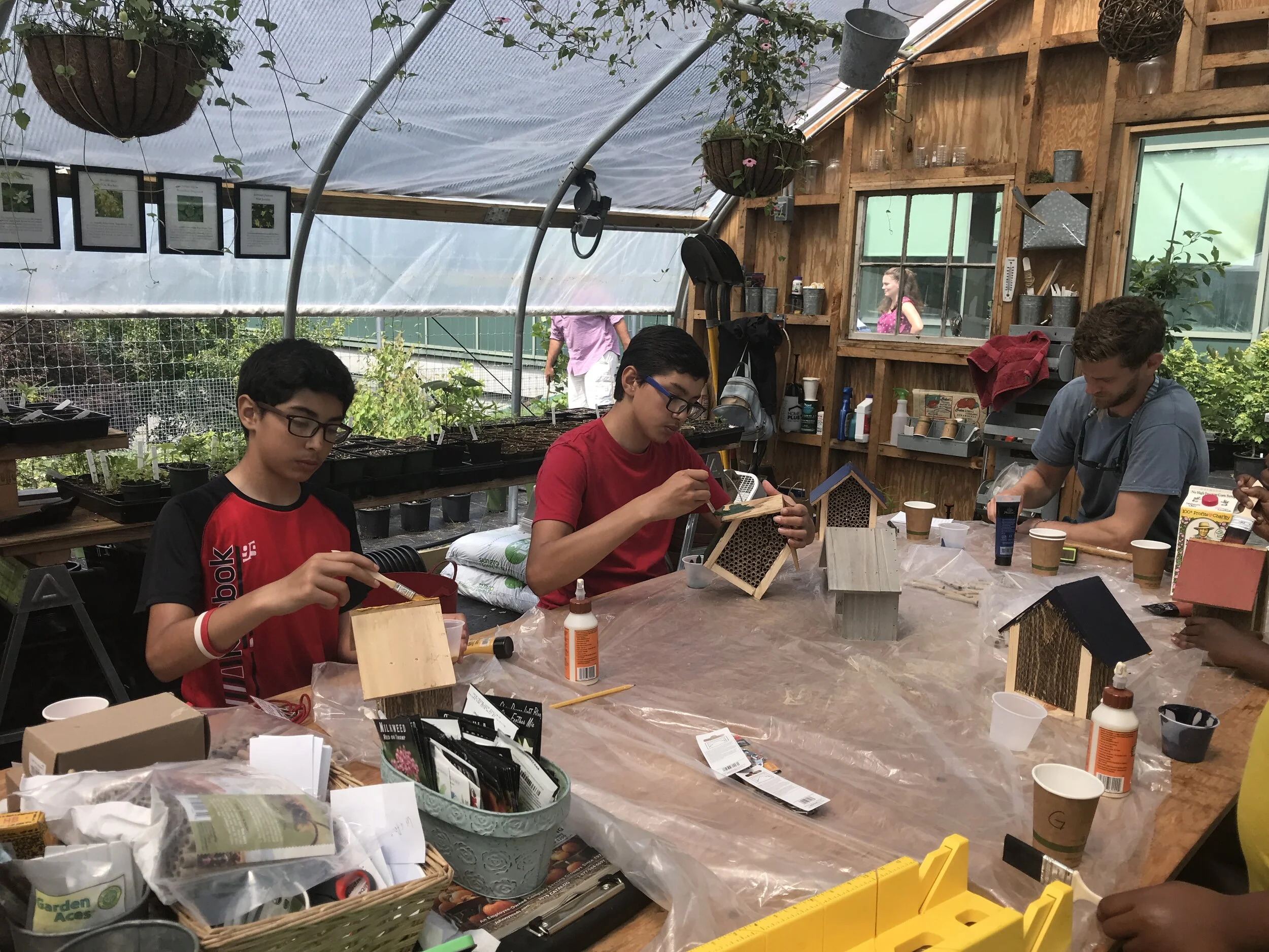 Heritage Tree Center — Newport Tree Conservancy