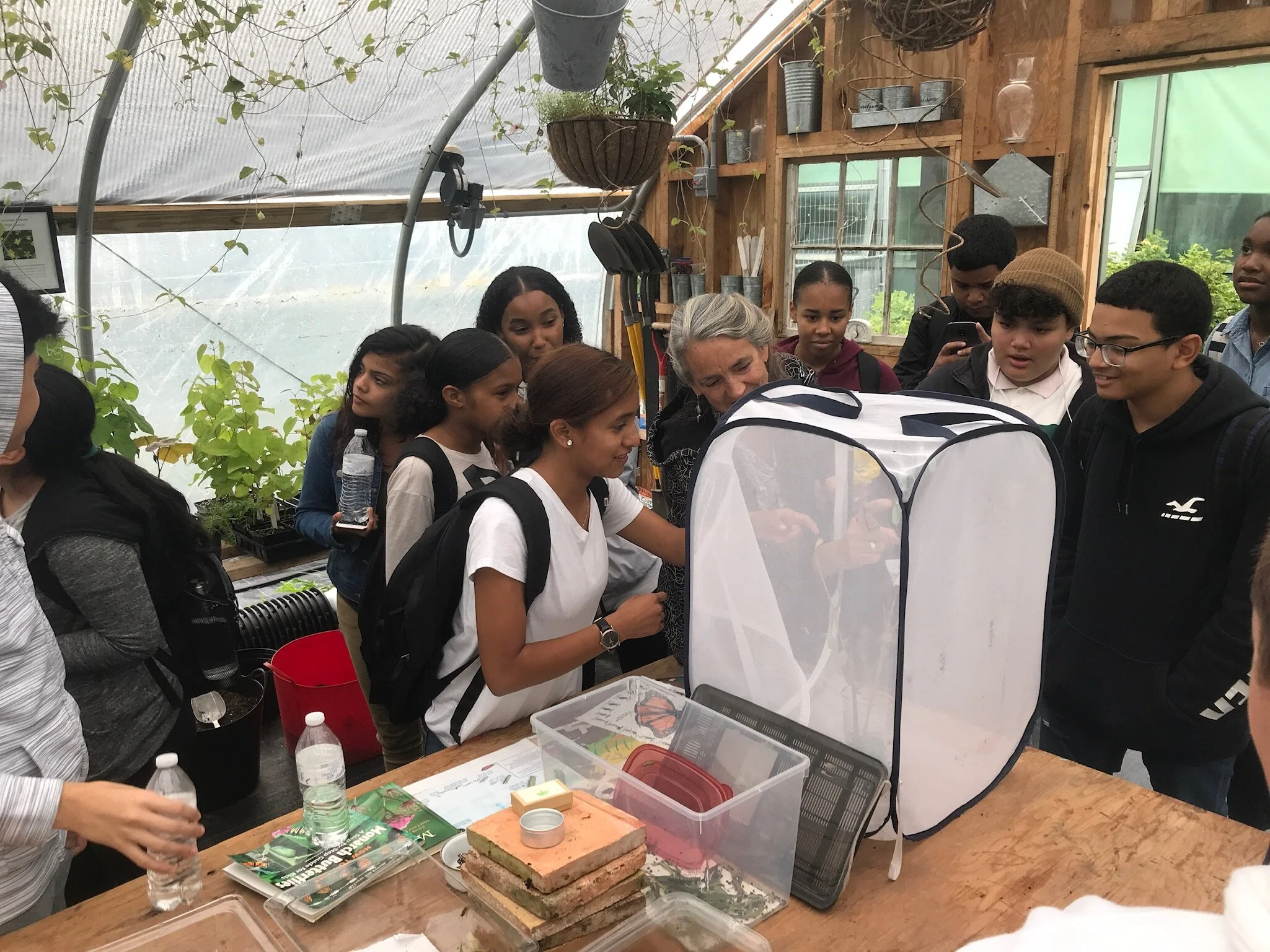 Heritage Tree Center — Newport Tree Conservancy