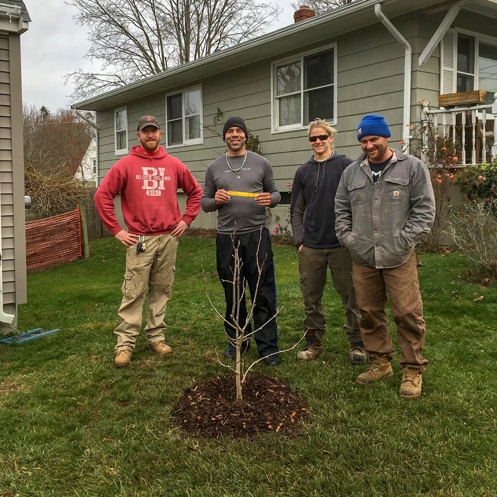 Newport Tree Conservancy-Home