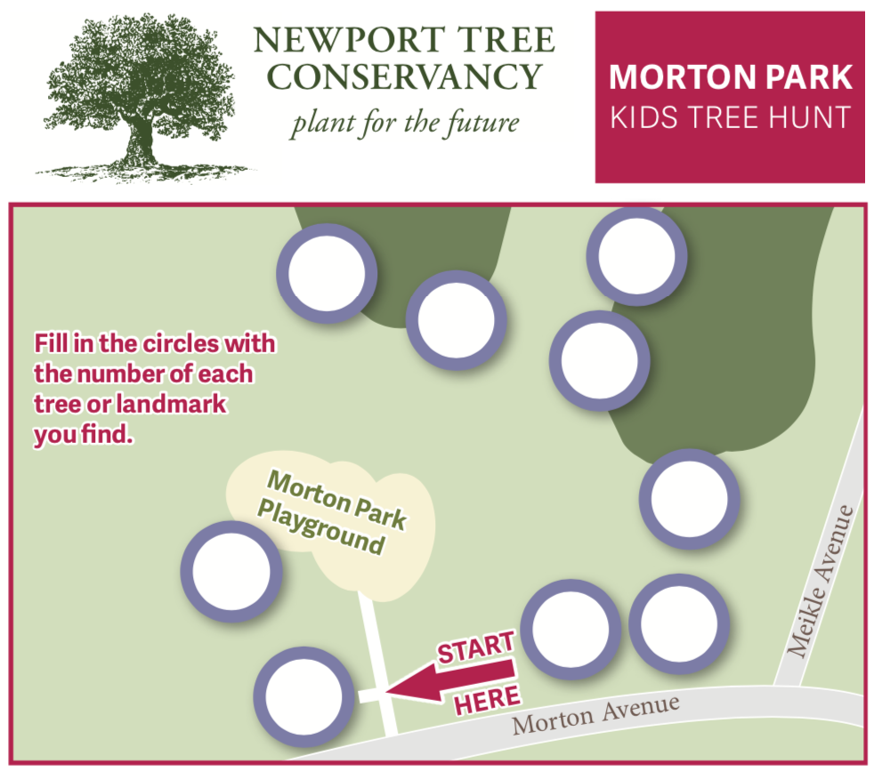 Newport Tree Walks — Newport Tree Conservancy