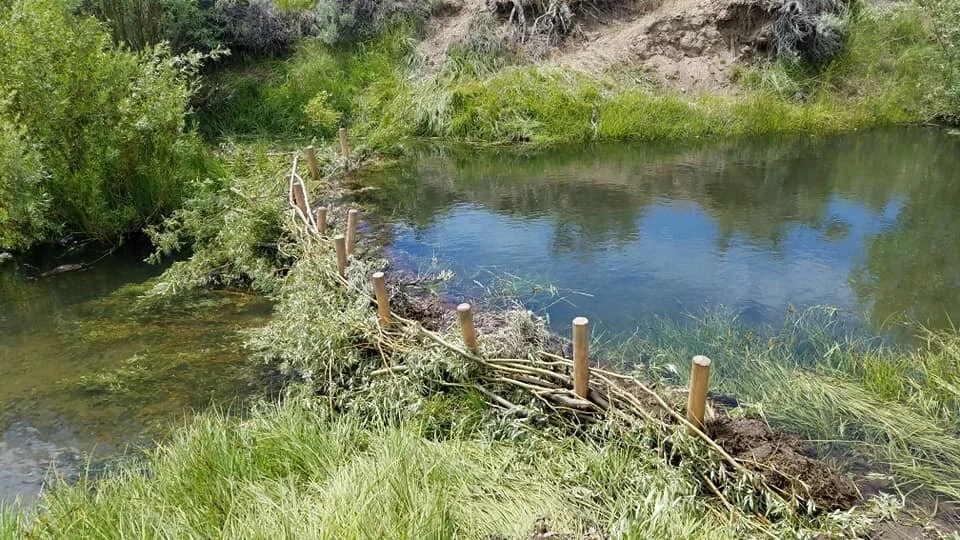 Projects — Maidu Summit Consortium