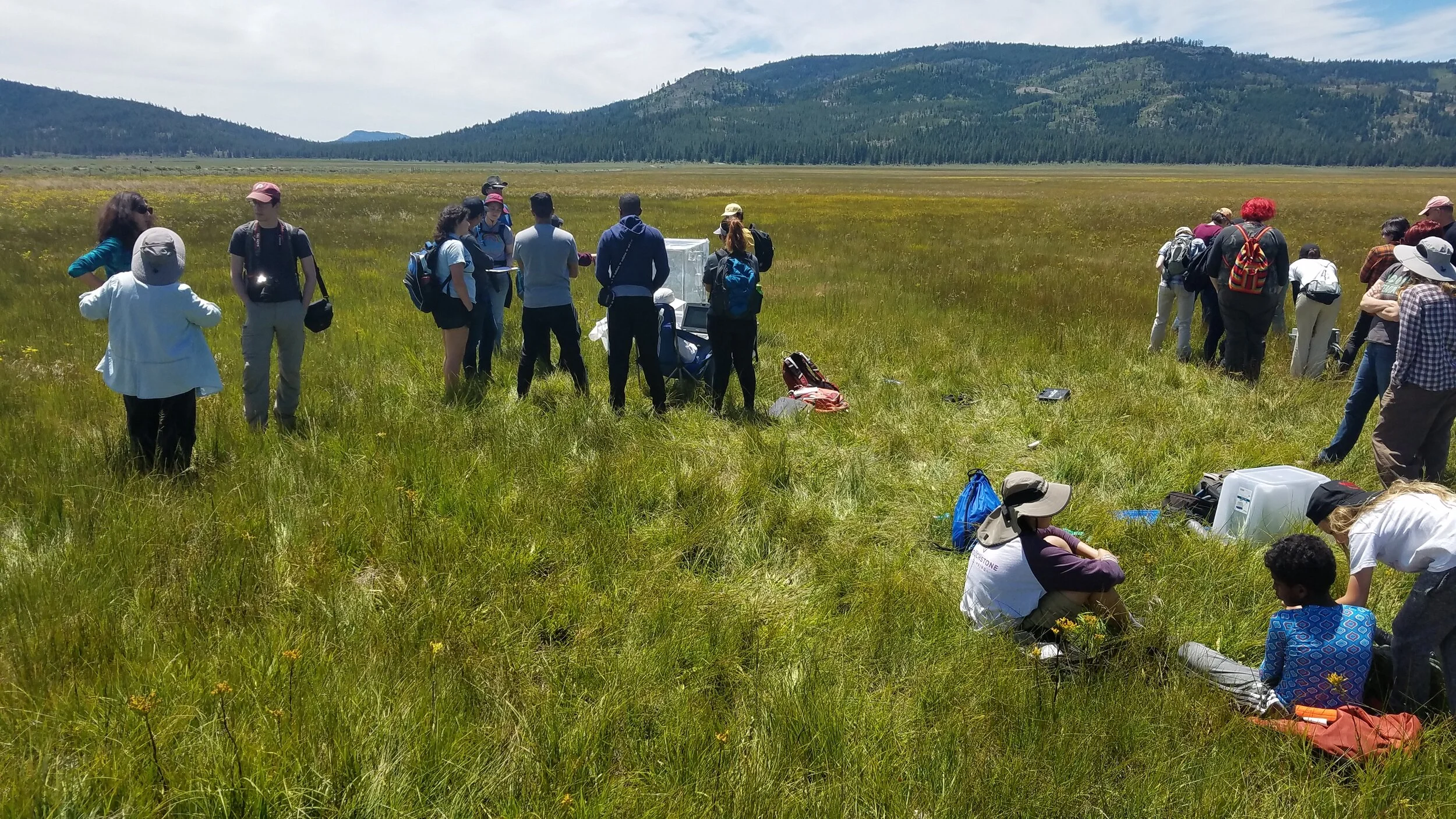 Projects — Maidu Summit Consortium