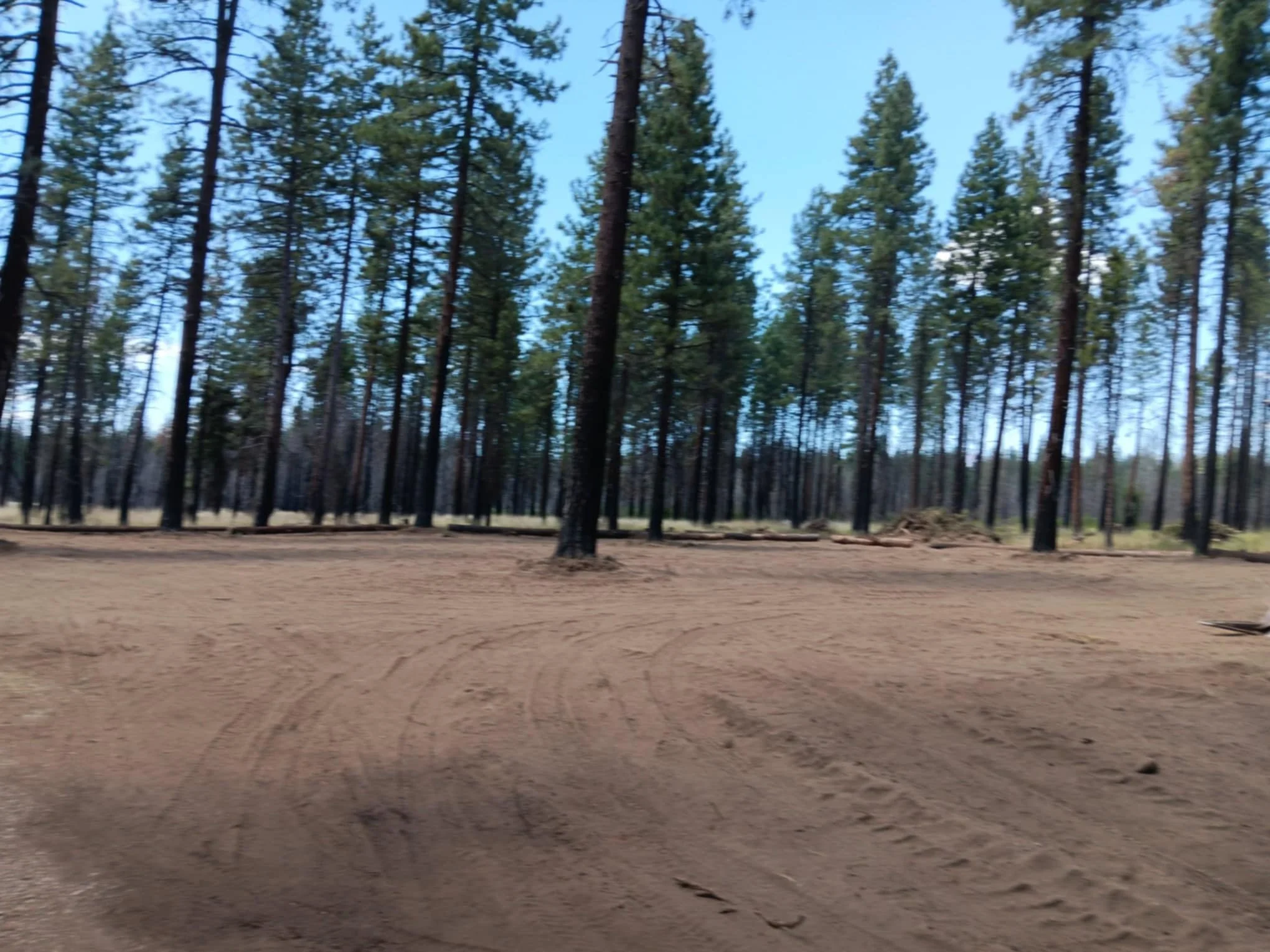 Maidu Summit Consortium