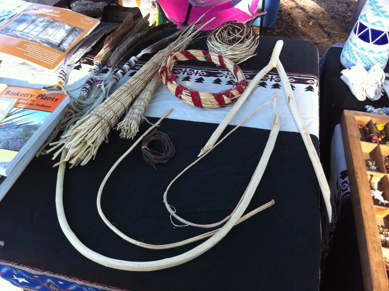 Projects — Maidu Summit Consortium